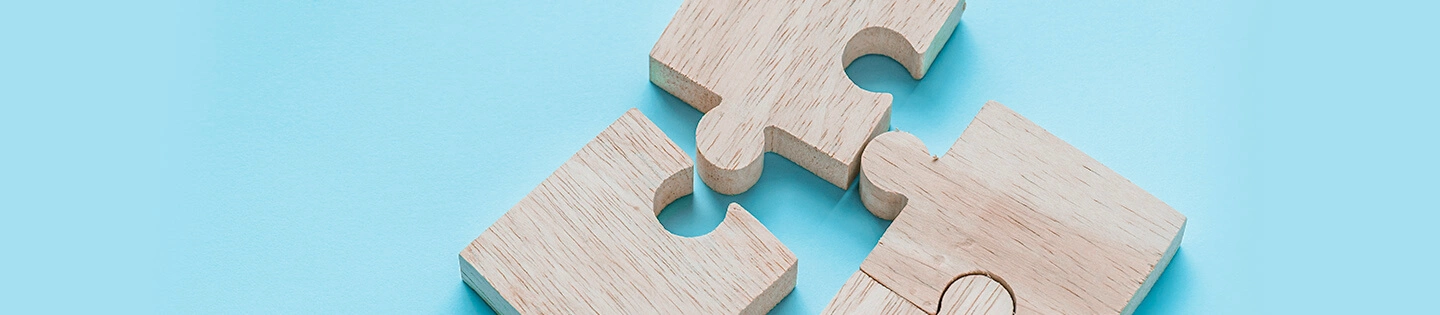 Investment Analyst Associate Vice President Genesis